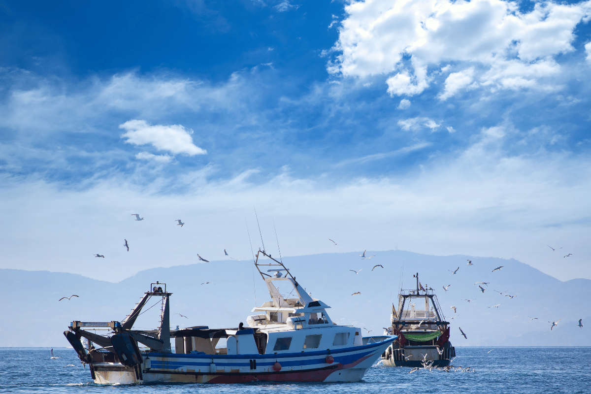 Maritime Seiner Accidents | Maritime Injury Guide